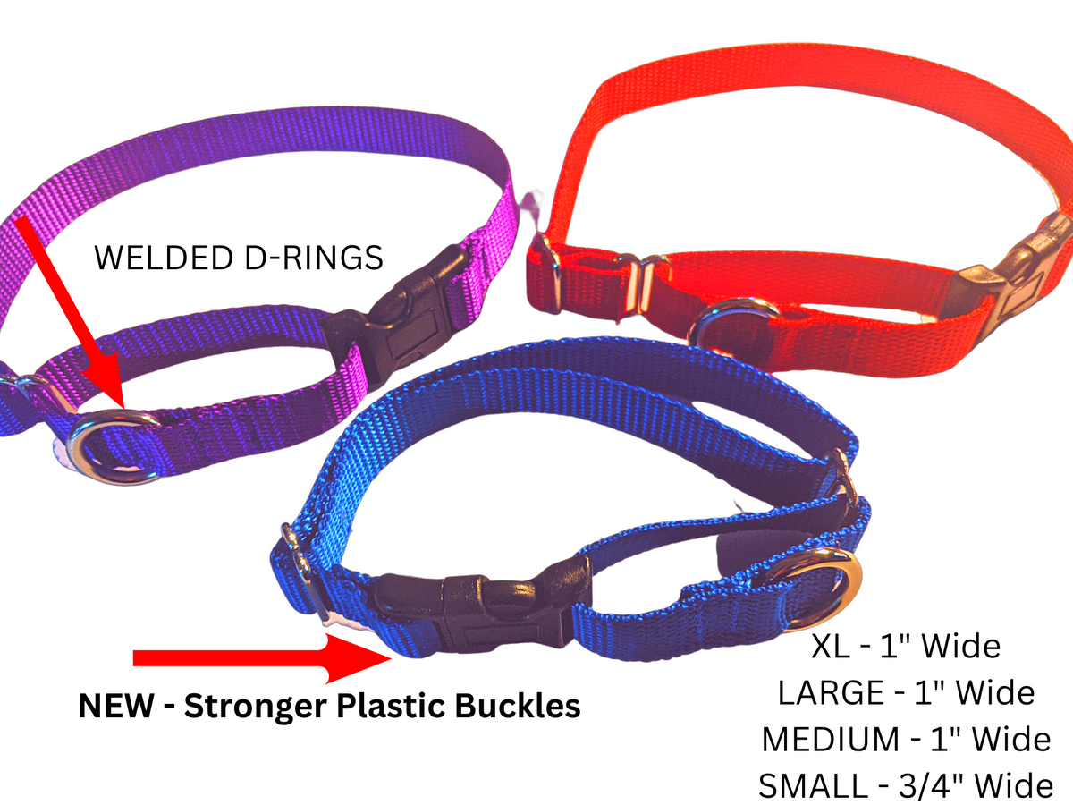 50 PACK BULK ALL Nylon Martingale Dog Collars w/ Plastic QUICK RELEASE ...
